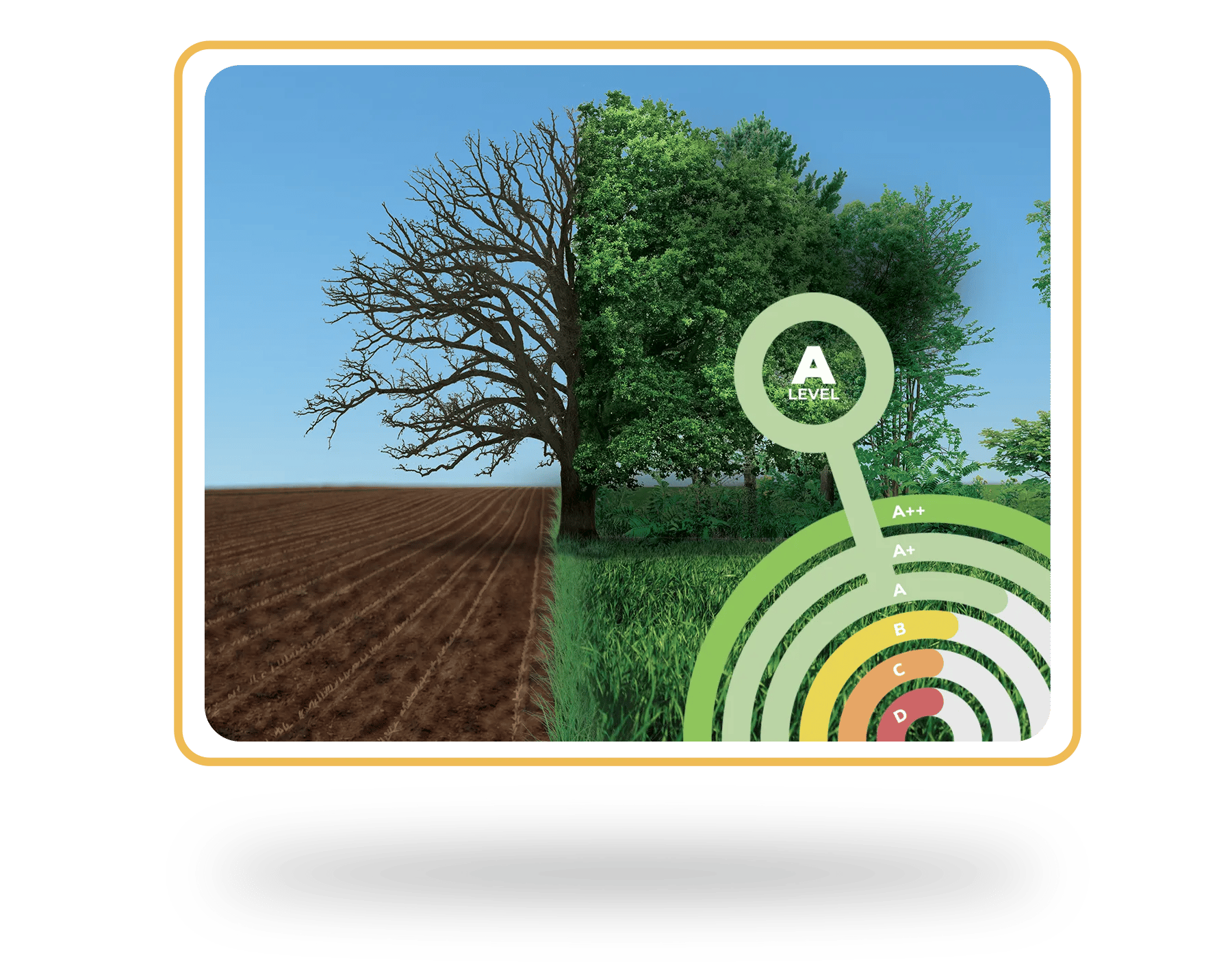 Descubre cómo se utiliza la tecnología BeCrop®